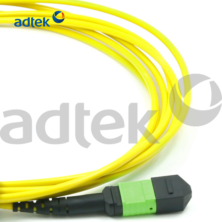 MTP®/APC-MTP®/APC Female to Female Fiber Optic Patch Cord SM 100/400G ...